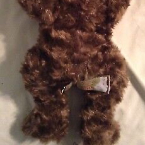 Gund | Toys | 7 In Gund Bear Webster 10 Th Anniversary New With Tag ...